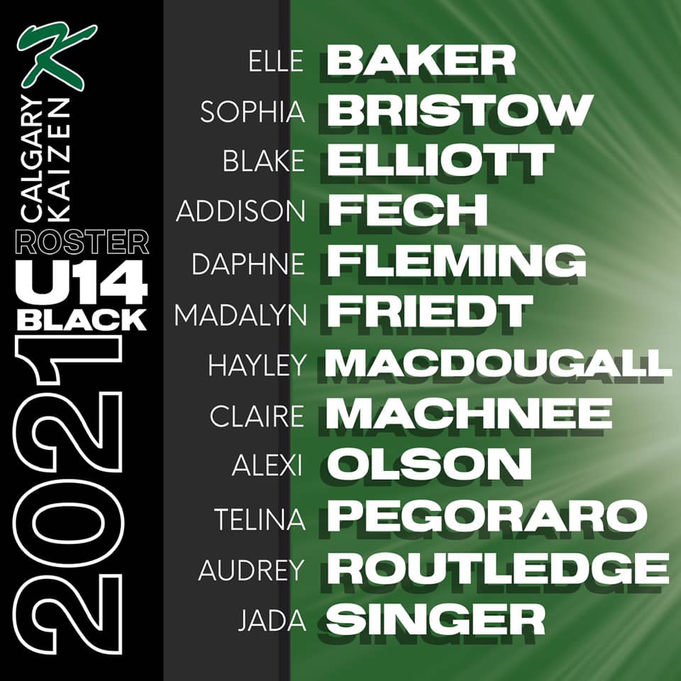 Calgary Kaizen Softball : Website by RAMP InterActive